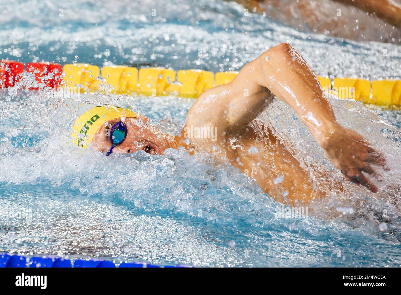 Melbourne 2022 FINA World Short Course Swimming Championships - Day 4 ...