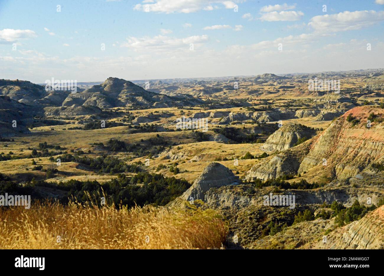 Theodore national park hi-res stock photography and images - Alamy