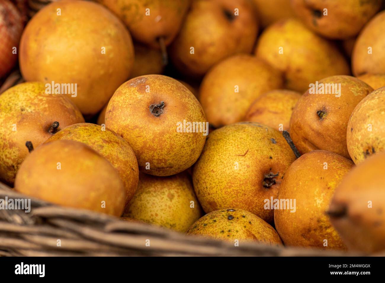Yellow sweet fresh bio pears in a wicker basket on a farmer ...