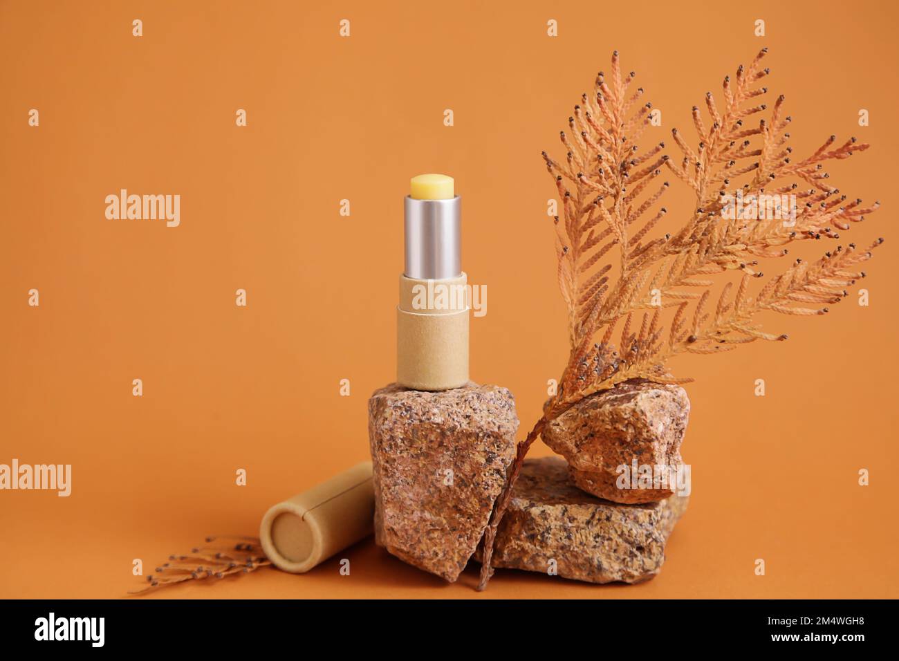 Podium Cosmetics. Open lip balm package. Podium presentation cosmetics ...