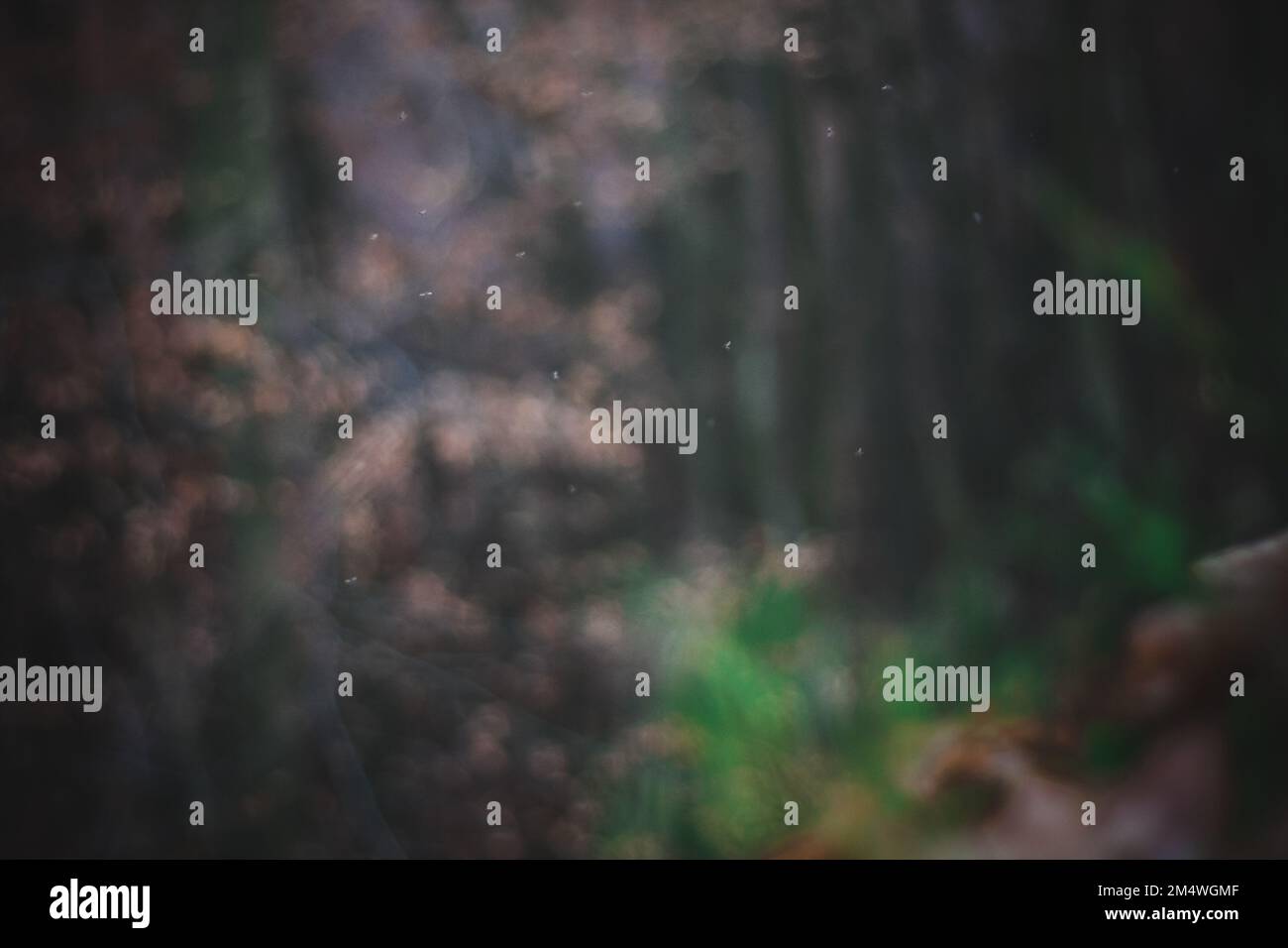 Close up shot blurry horizontal hi-res stock photography and images - Alamy