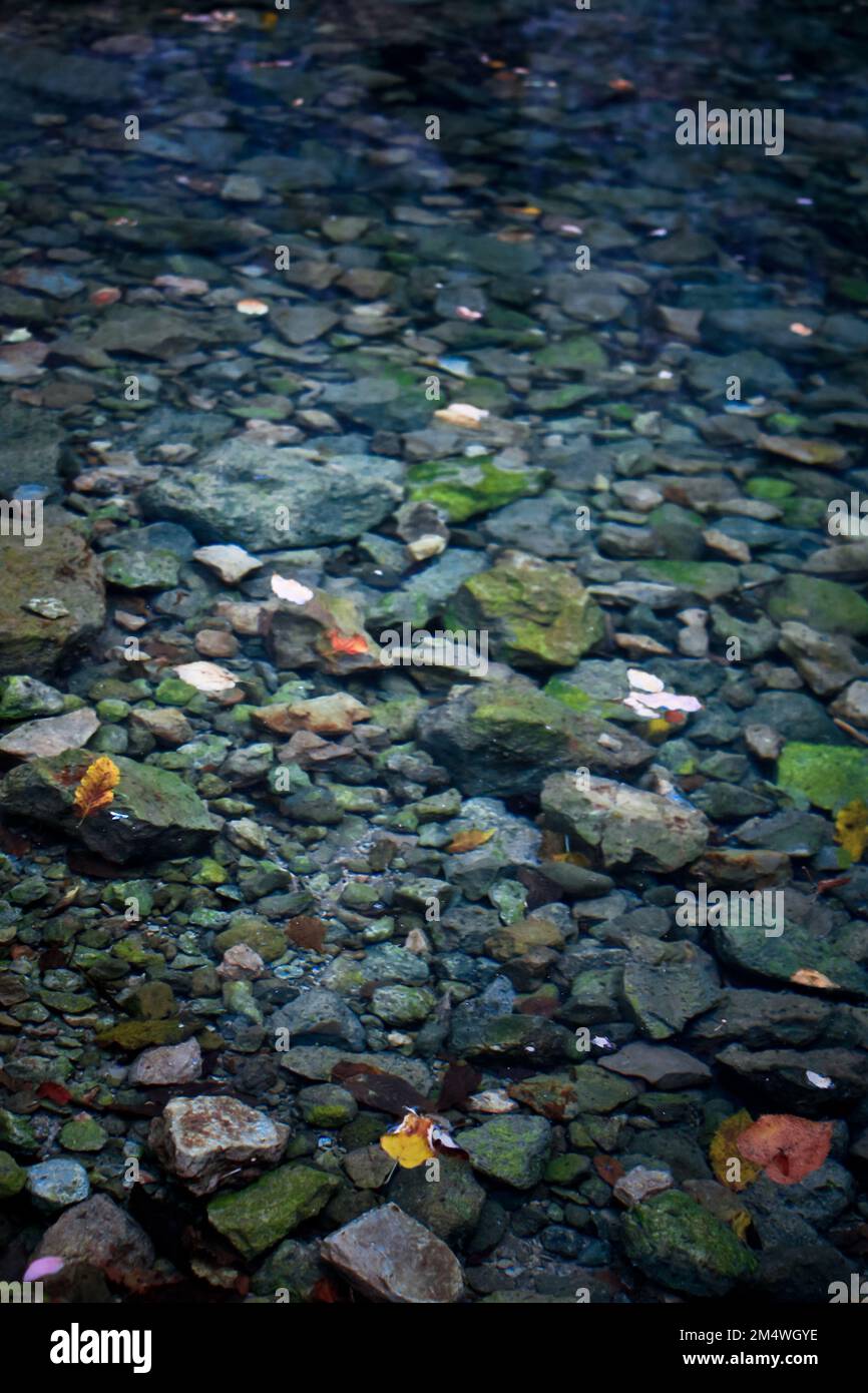 Beautiful shot shallow stream hi-res stock photography and images - Alamy