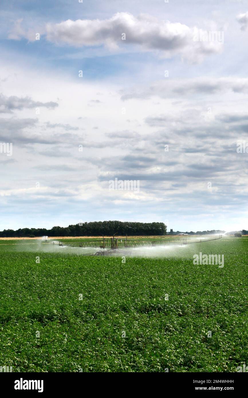 Self propelled irrigation system hi-res stock photography and images ...