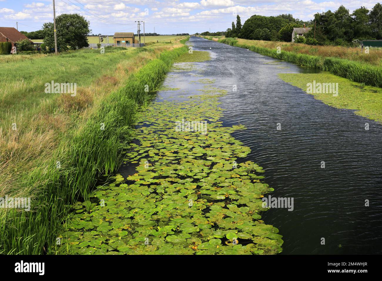 Summer view over Bevills Leam drain, Pondersbridge village, Fenland ...