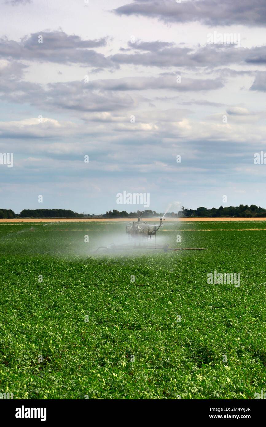 Self propelled irrigation system hi-res stock photography and images ...
