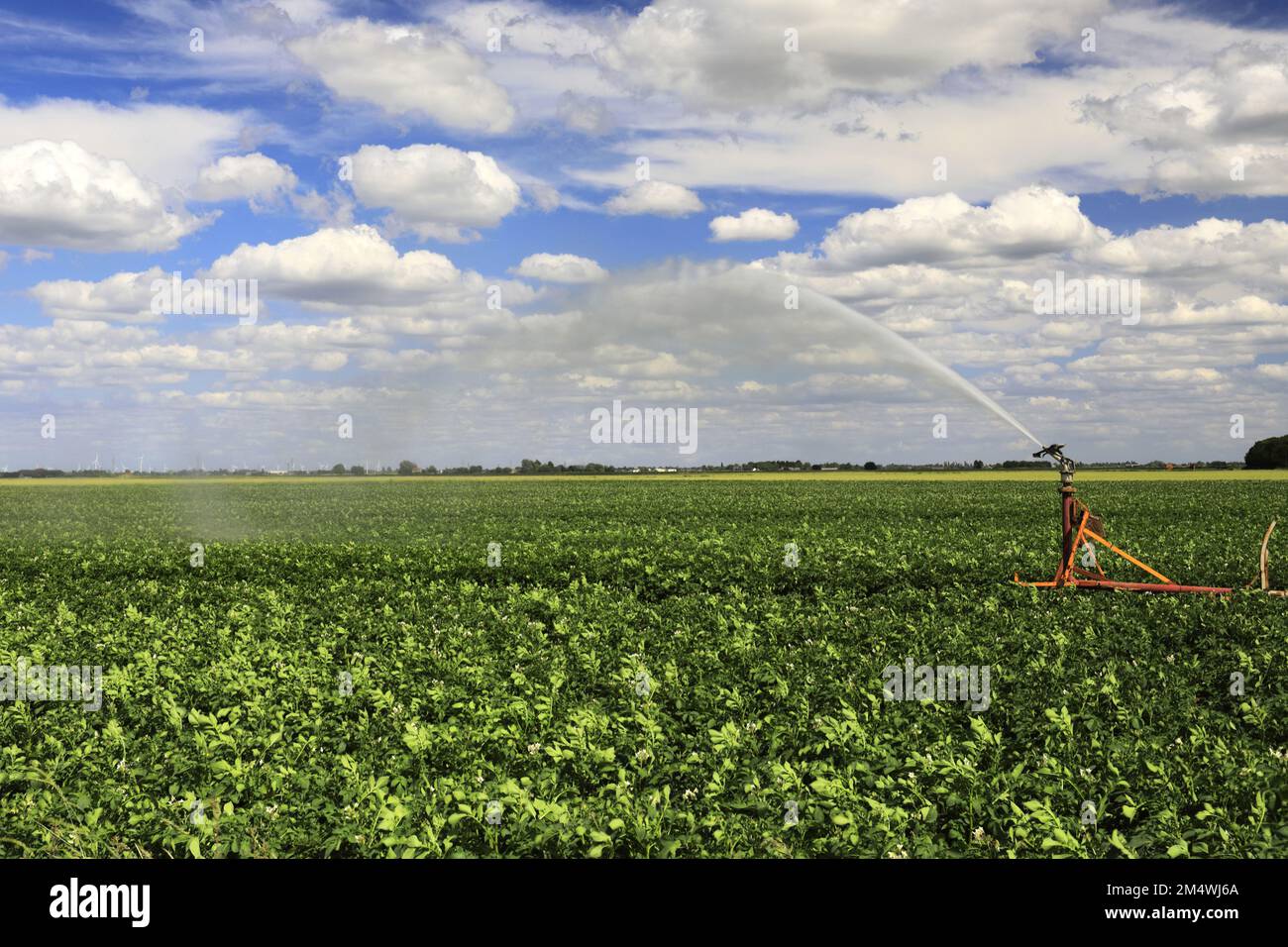 A Crop watering irrigation system near Wisbech Town; Fenland ...