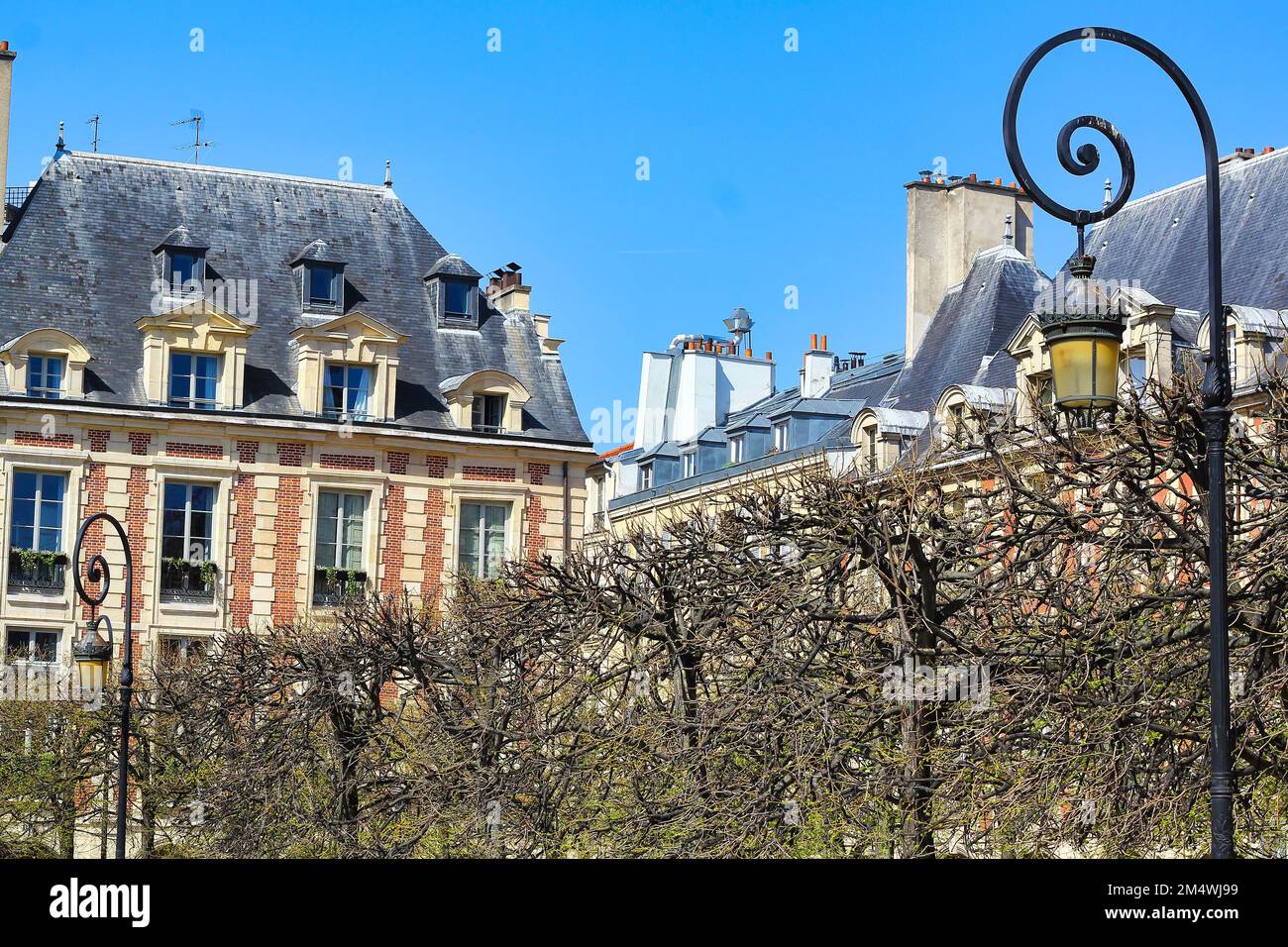 ancient, arcade, architecture, architecture and buildings, branches ...