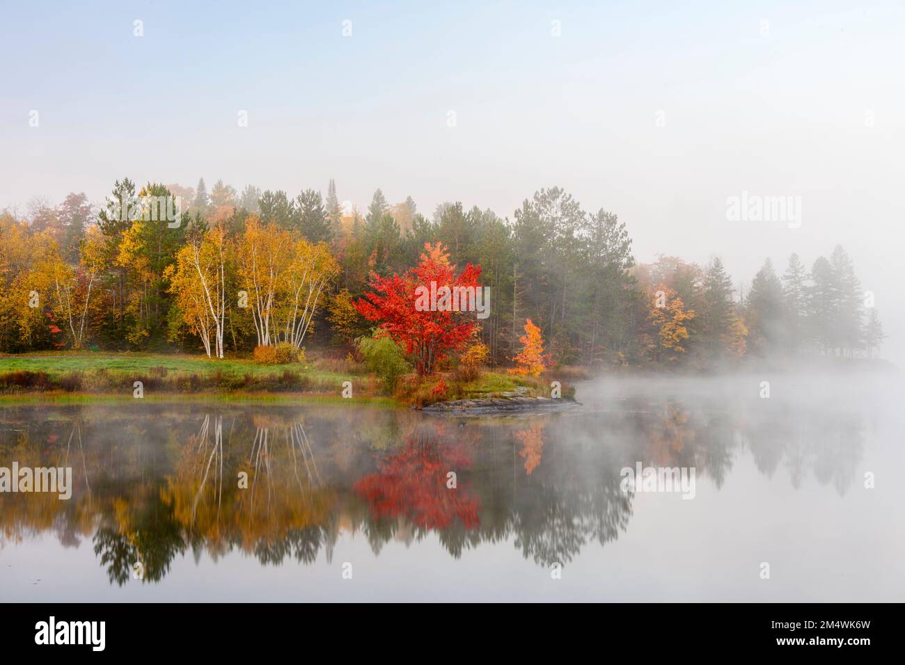 Autumn trees, the shore of St. Pothier Lake in fog, Greater Sudbury ...