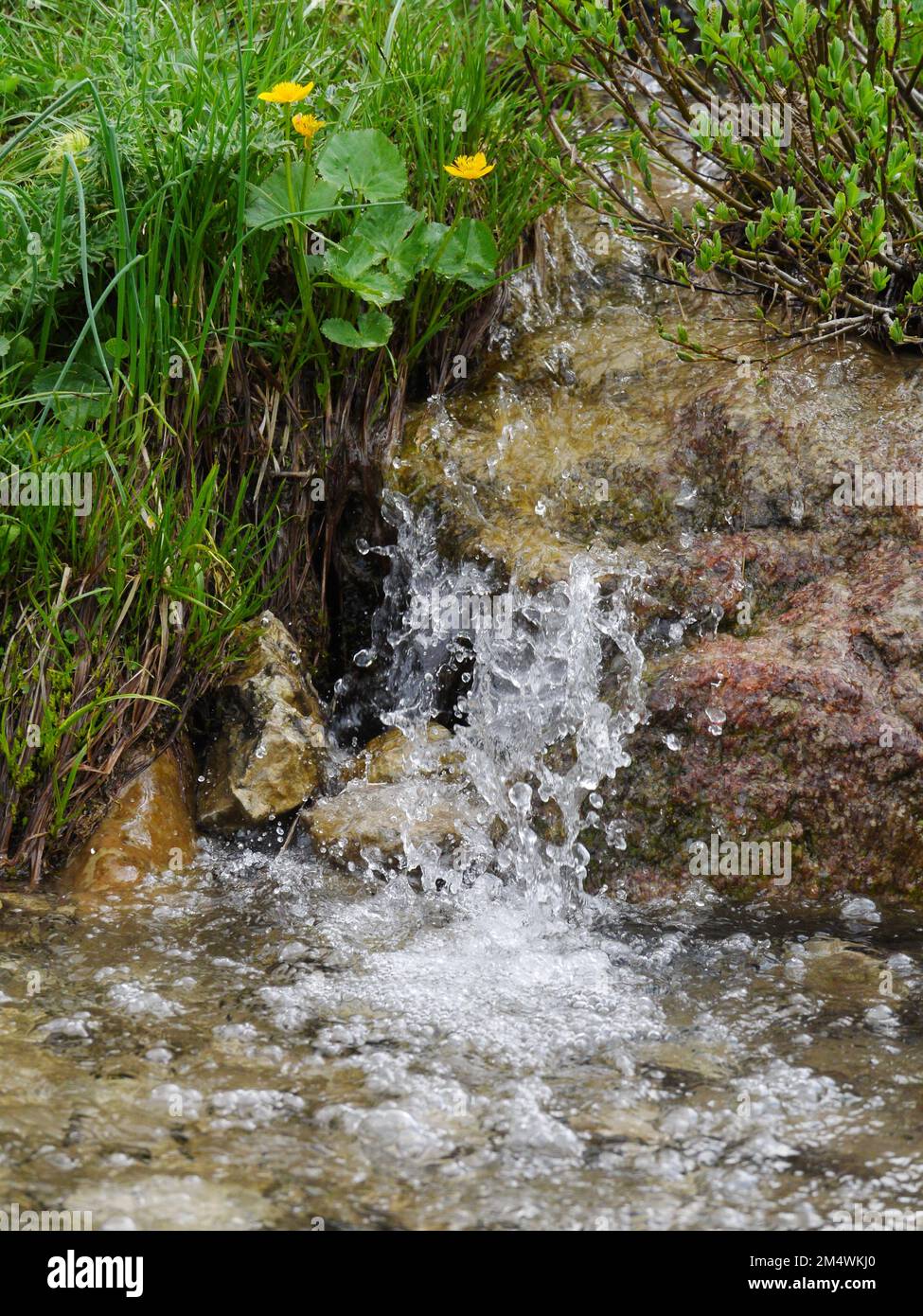 spring water fountain Stock Photo - Alamy