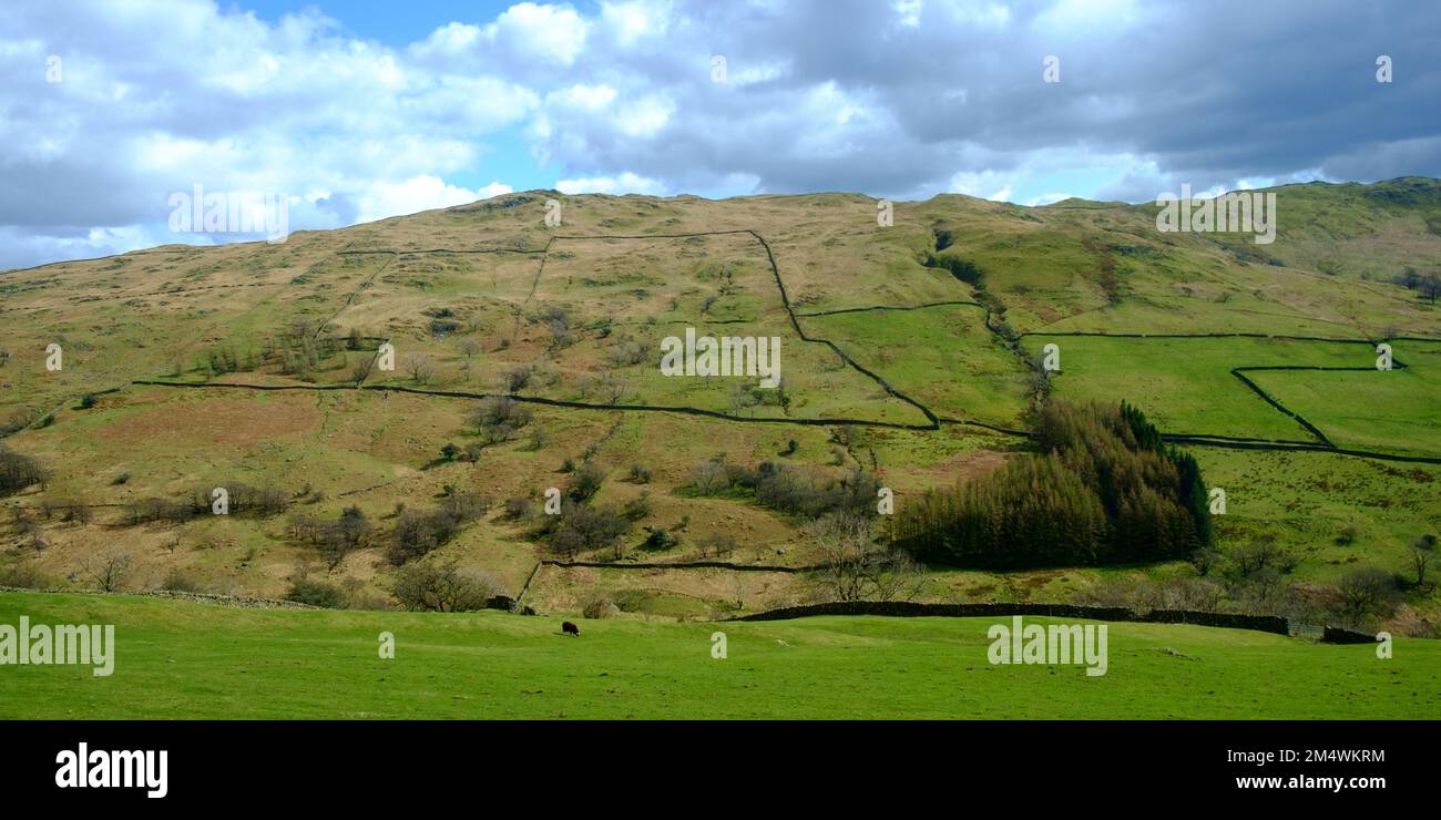 Extensive old dry stone walls pattern the hillsides viewed along the ...
