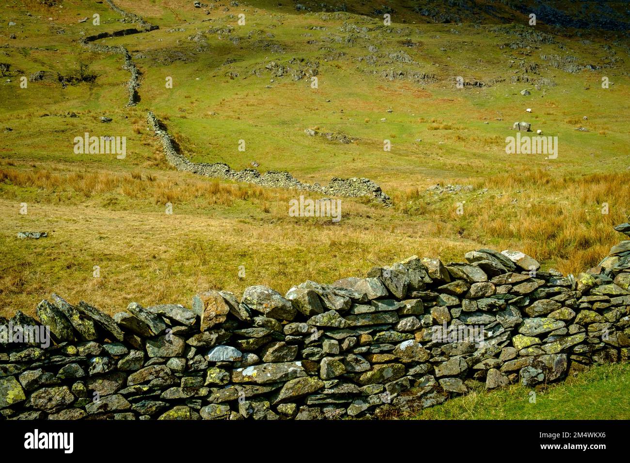 Extensive old dry stone walls pattern the hillsides viewed along the ...