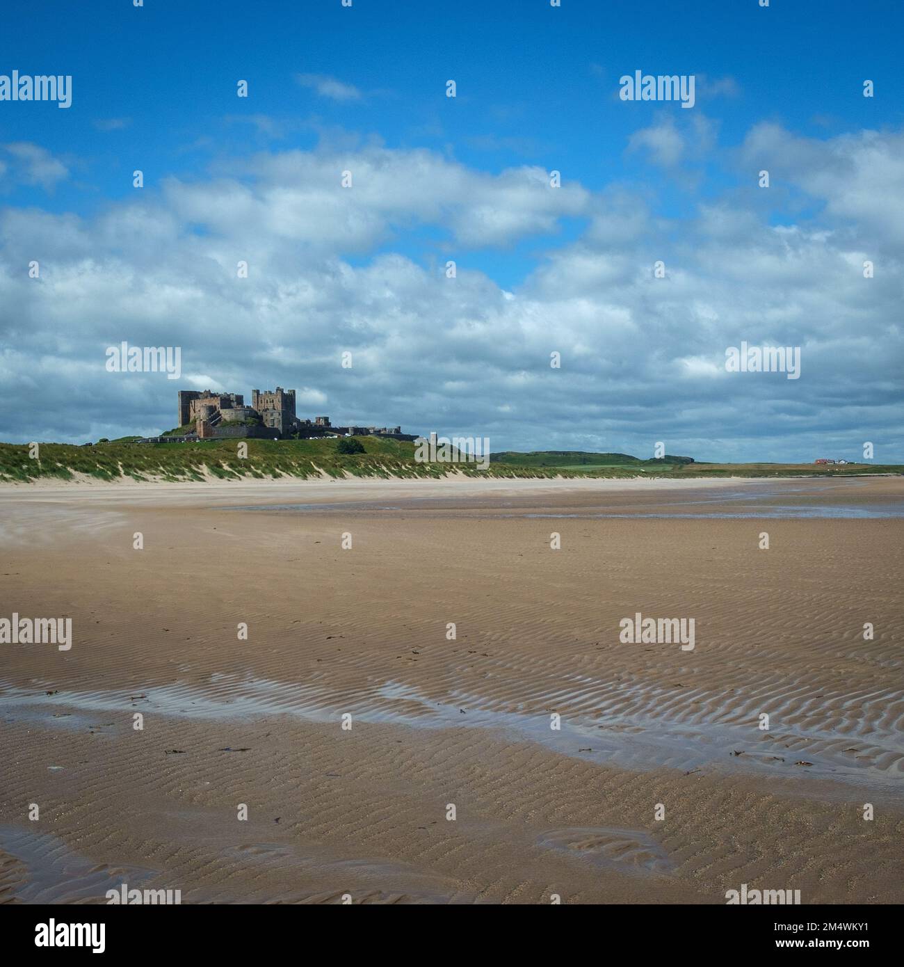Looking north west to historic Bamburgh Castle on the horizon above ...