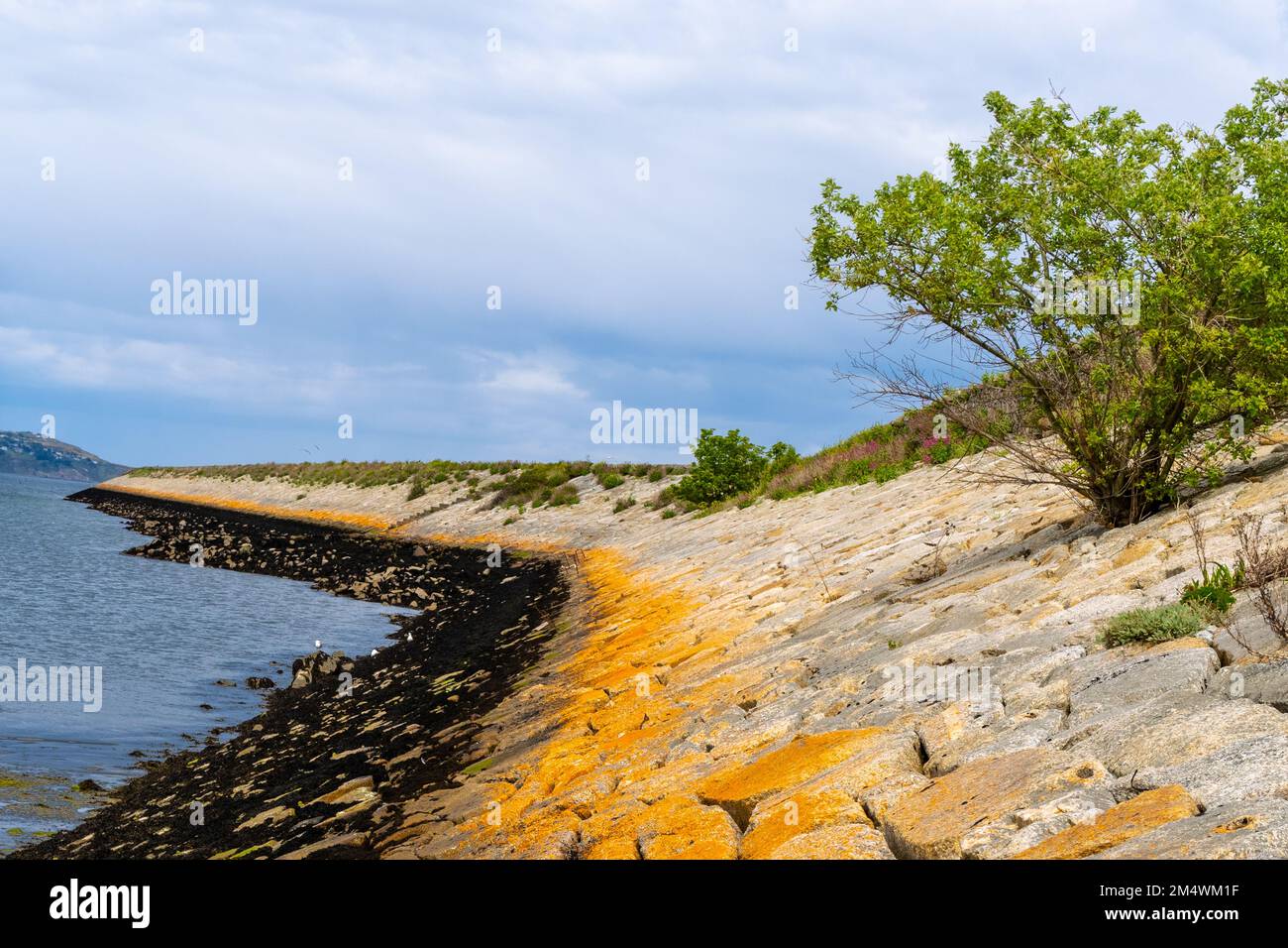 The tide of Colors in Dun Laoghaire Ireland Stock Photo - Alamy