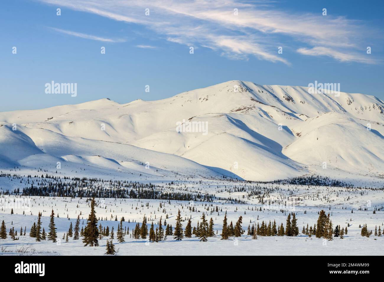 North America; United States; Alaska; Alaska Range Mountains; Denali ...