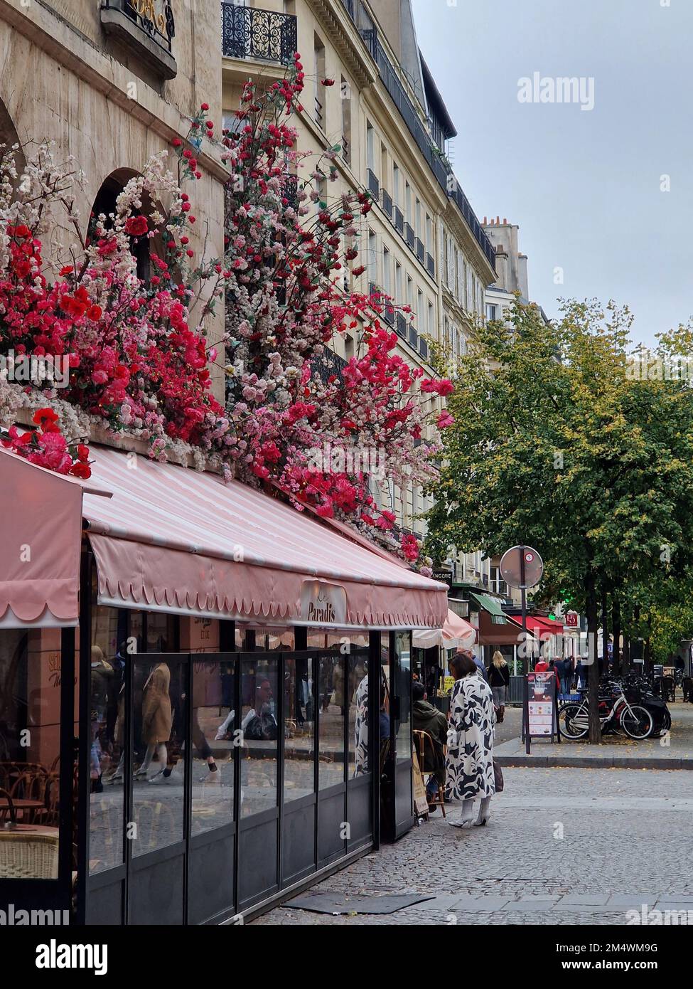 Paris center walking street view Stock Photo - Alamy