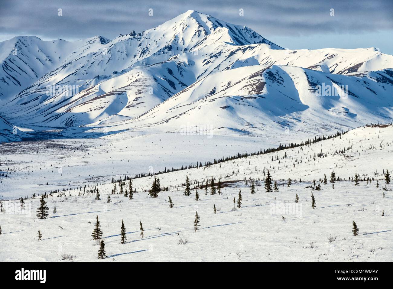 North America; United States; Alaska; Alaska Range Mountains; Denali ...