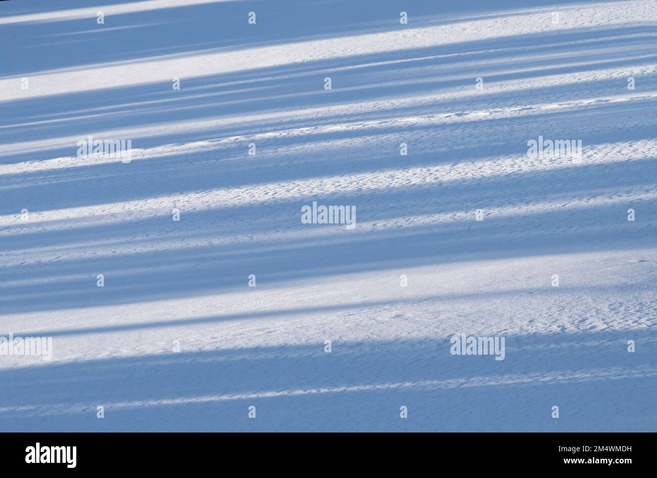 North America; United States; Alaska; Alaska Range Mountains; Denali ...