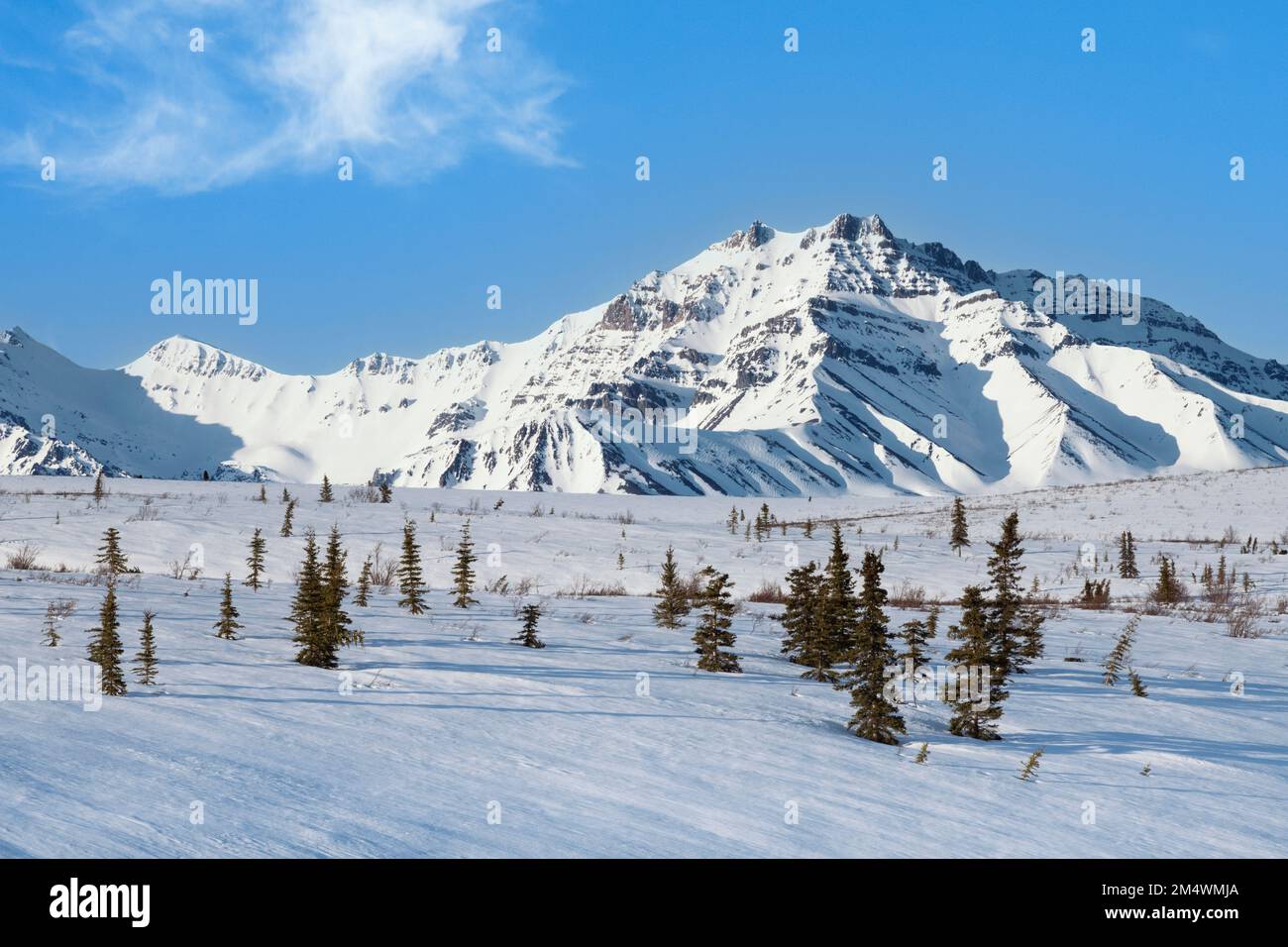 North America; United States; Alaska; Alaska Range Mountains; Denali ...