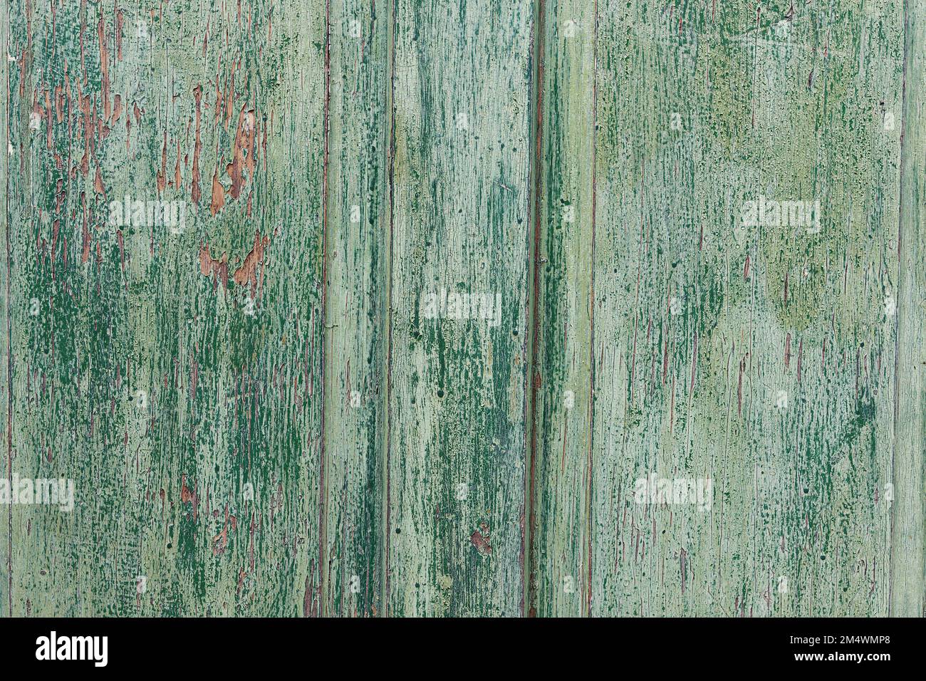 green painted wooden plank wall, texture ready for your design Stock ...