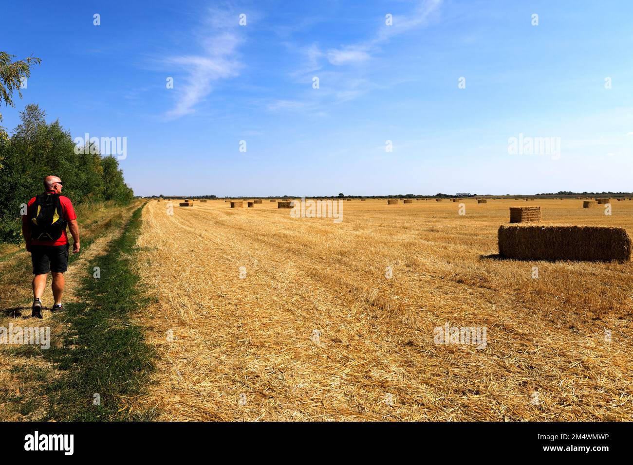 Manea fields hi-res stock photography and images - Alamy
