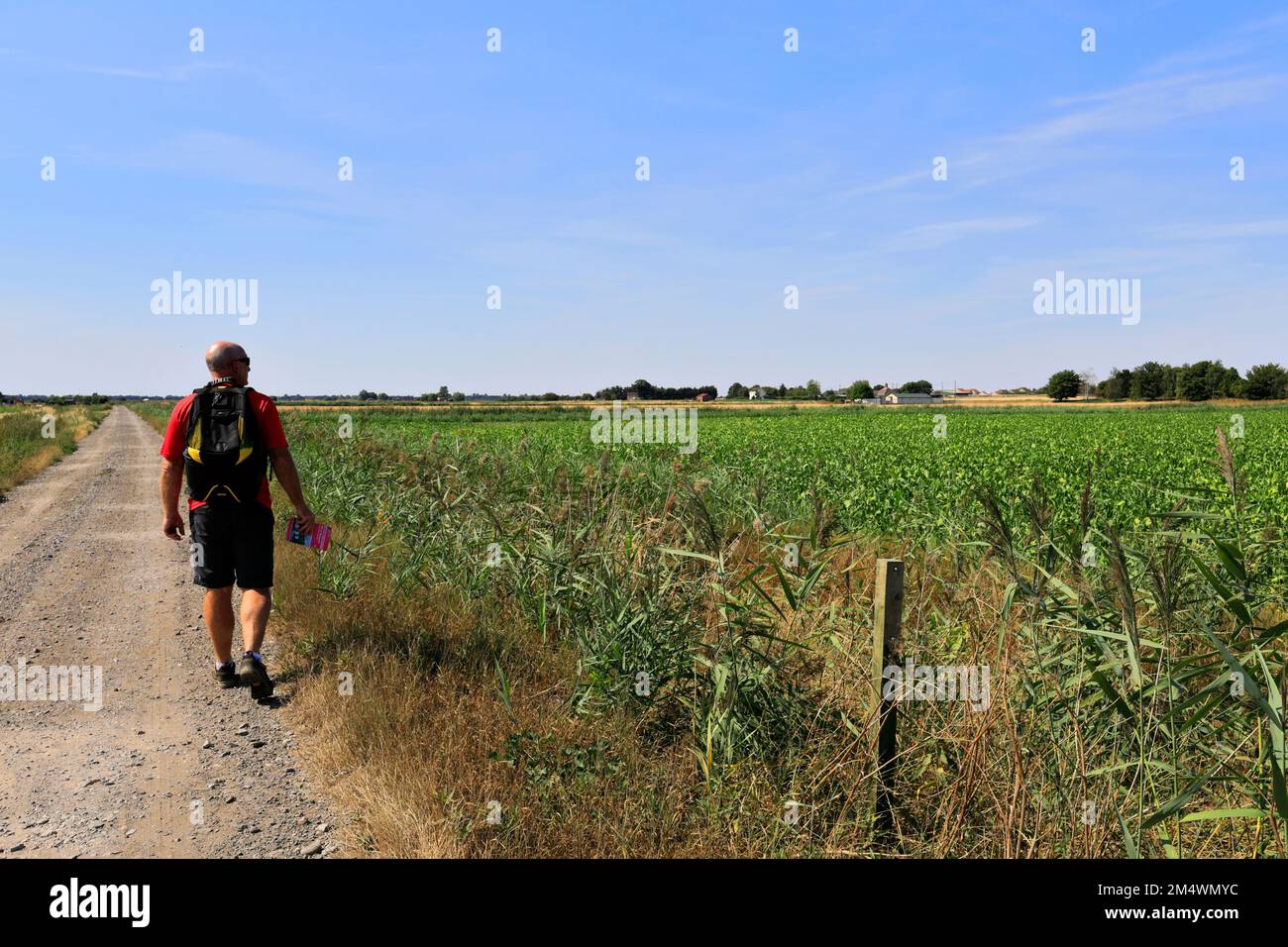 Footpath with bird watching tower hi-res stock photography and images ...