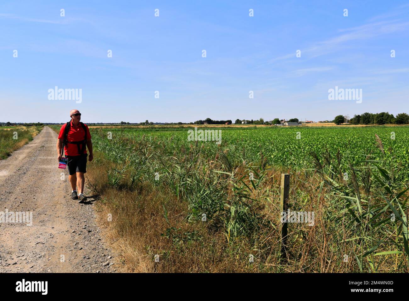 Manea angling club hi-res stock photography and images - Alamy