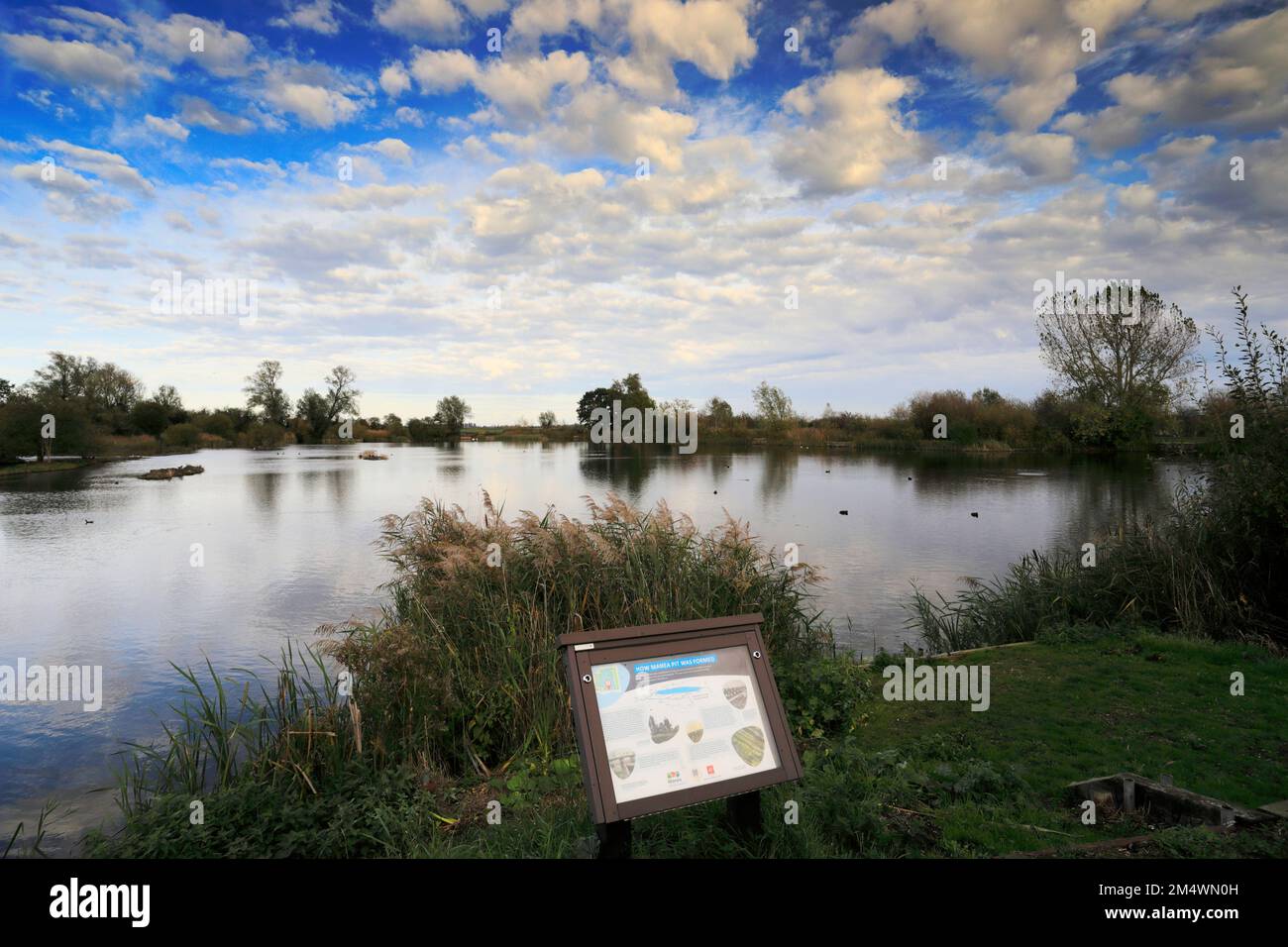 Autumn view over Manea pit wildlife site, Manea town, Cambridgeshire ...