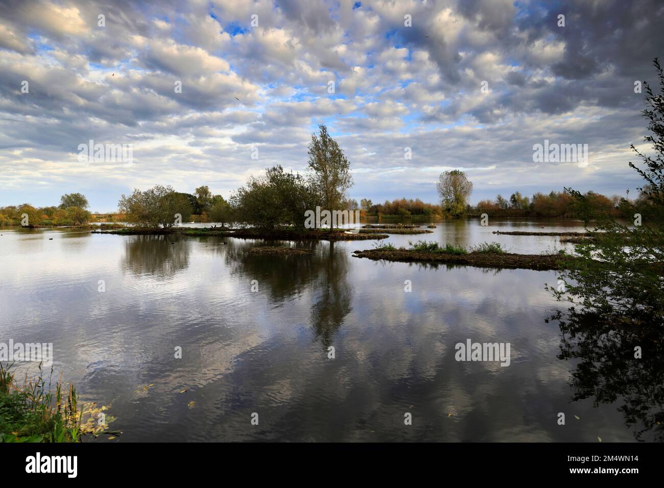Autumn view over Manea pit wildlife site, Manea town, Cambridgeshire ...