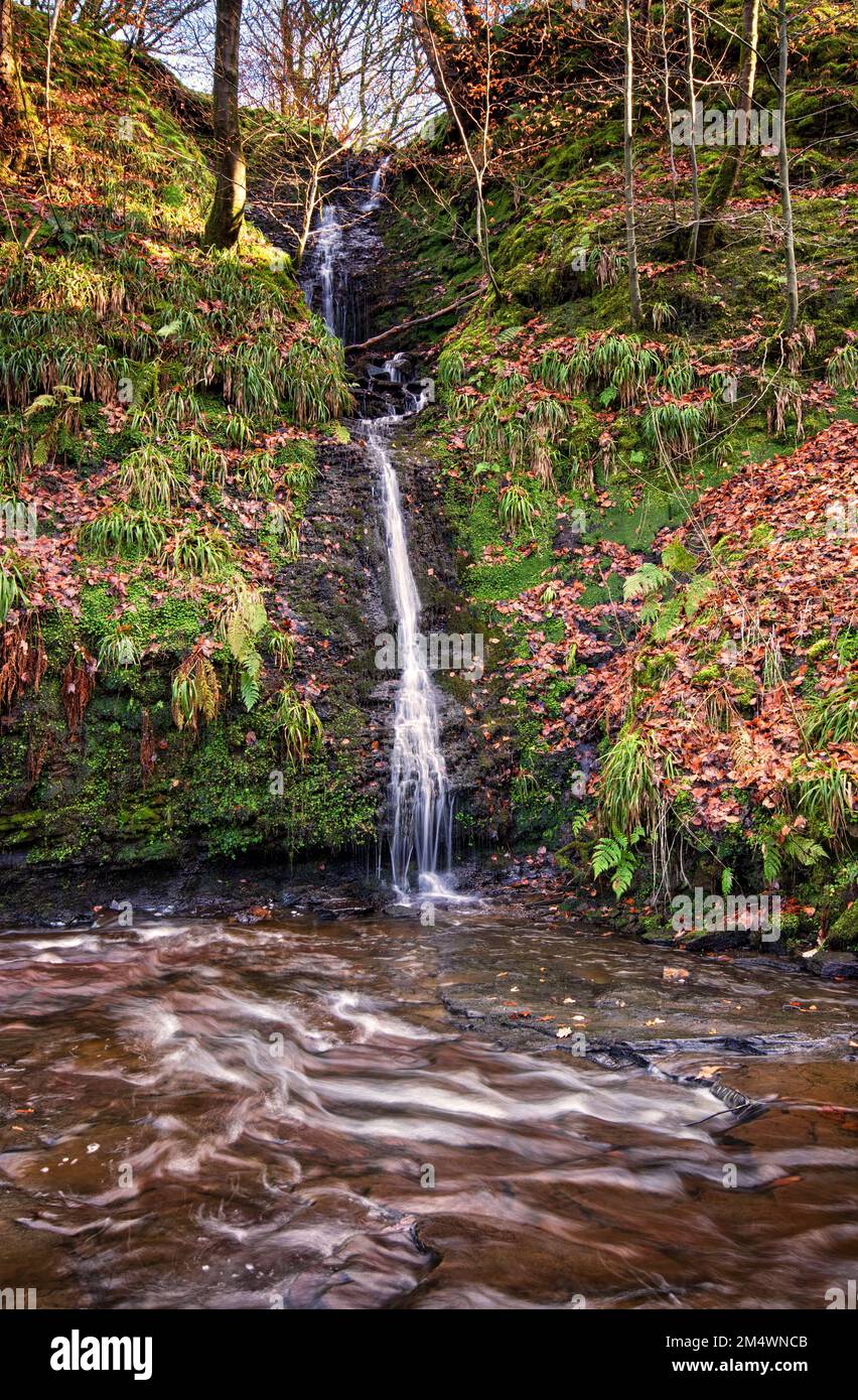 The high waterfall at Roddlesworth woods, in late autumn Stock Photo ...