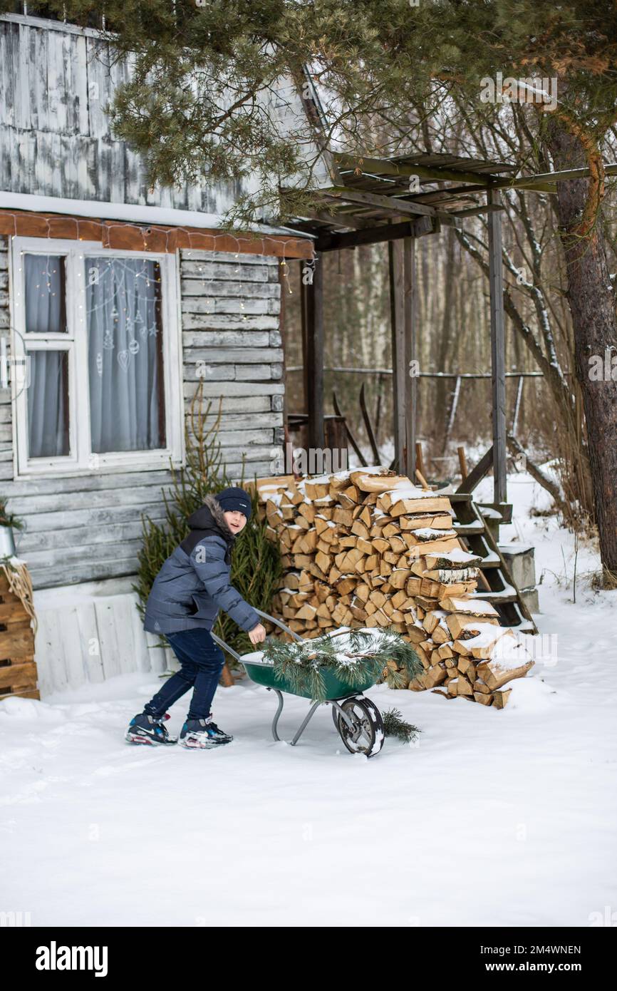 Little boy carries a Christmas tree on a sled to home Stock Photo - Alamy