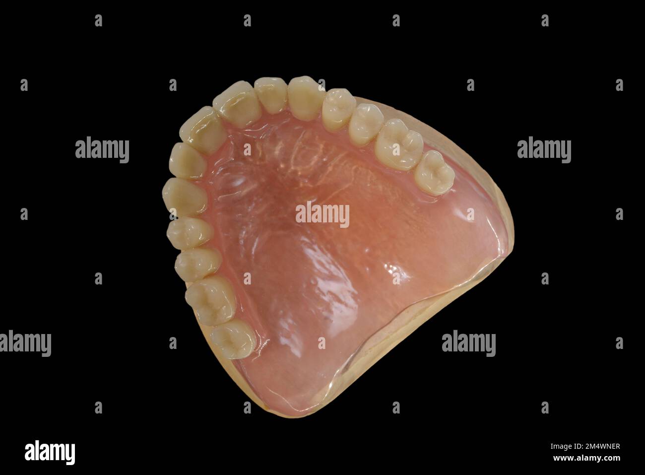 Typodont, plastic moulage of human jaws and teeth isolated on a black ...