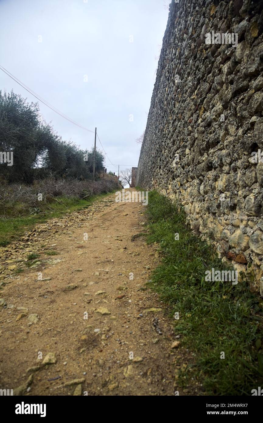 Dirt path next to a stone fortification and olive trees with ...