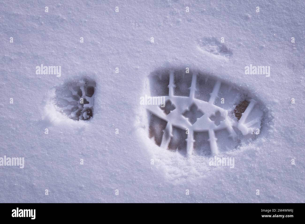 Boot print hi-res stock photography and images - Alamy