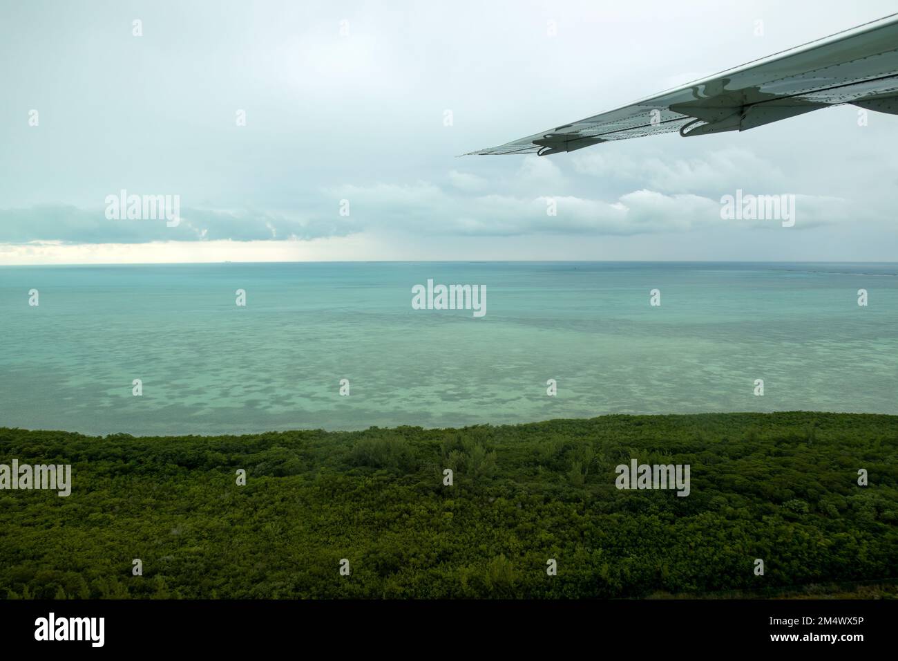 An aerial view of the coast of South Bimini, Bahamas Stock Photo - Alamy