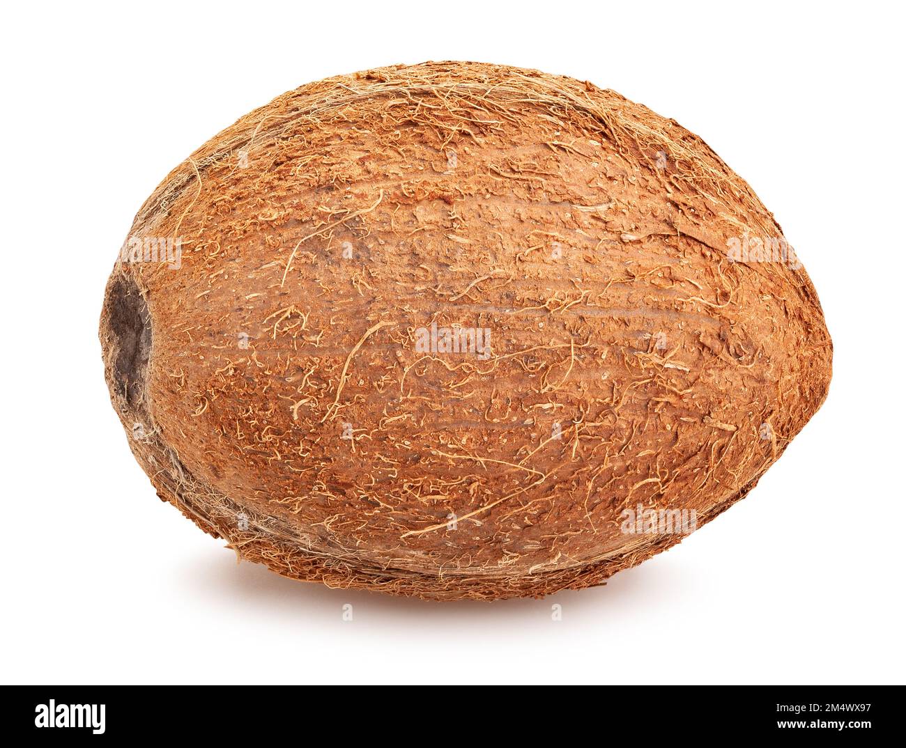 coconut path isolated on white Stock Photo - Alamy