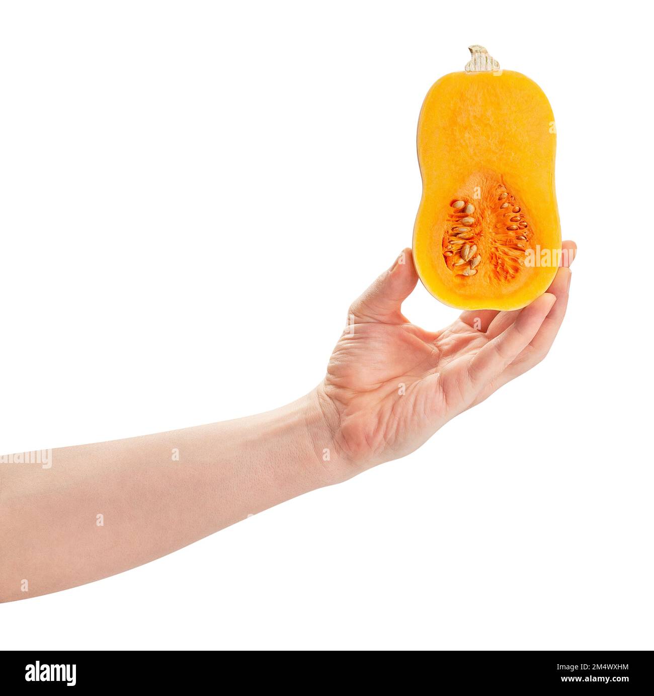 sliced butternut in hand path isolated on white Stock Photo - Alamy