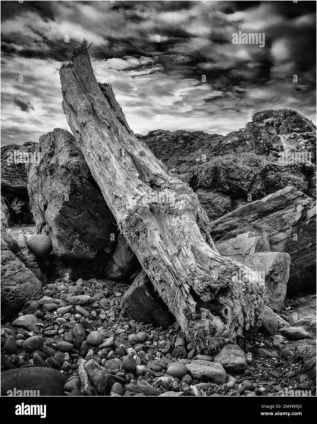 Rough boulder Black and White Stock Photos & Images - Alamy