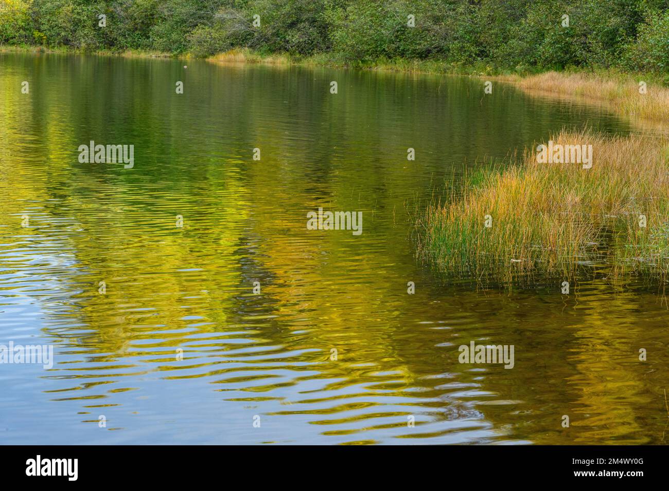 Lake Traverse in autumn, Algonquin Provincial Park, Ontario, Canada ...