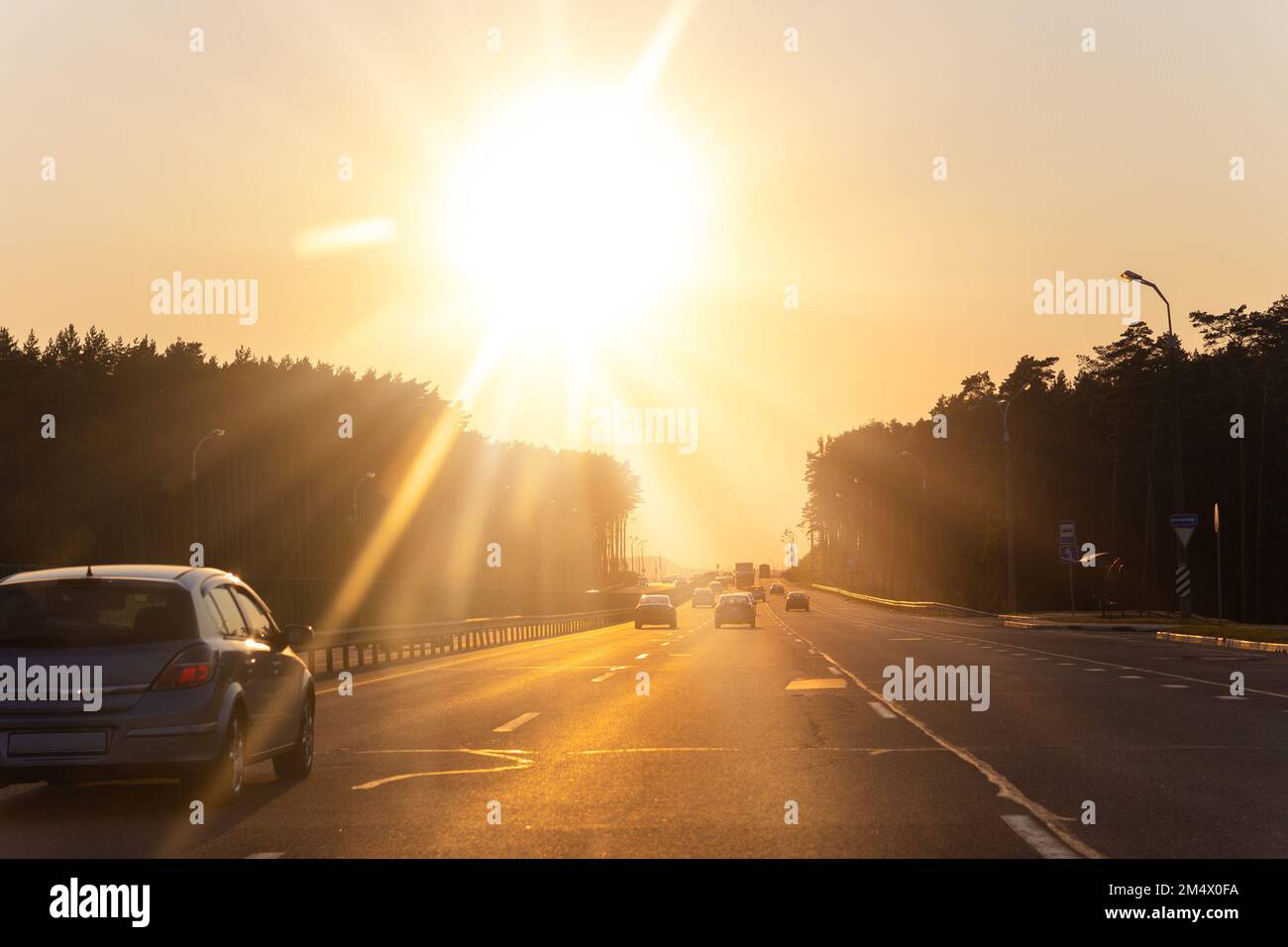 Evening view at sunset. Highway road in the countryside, roadside and ...