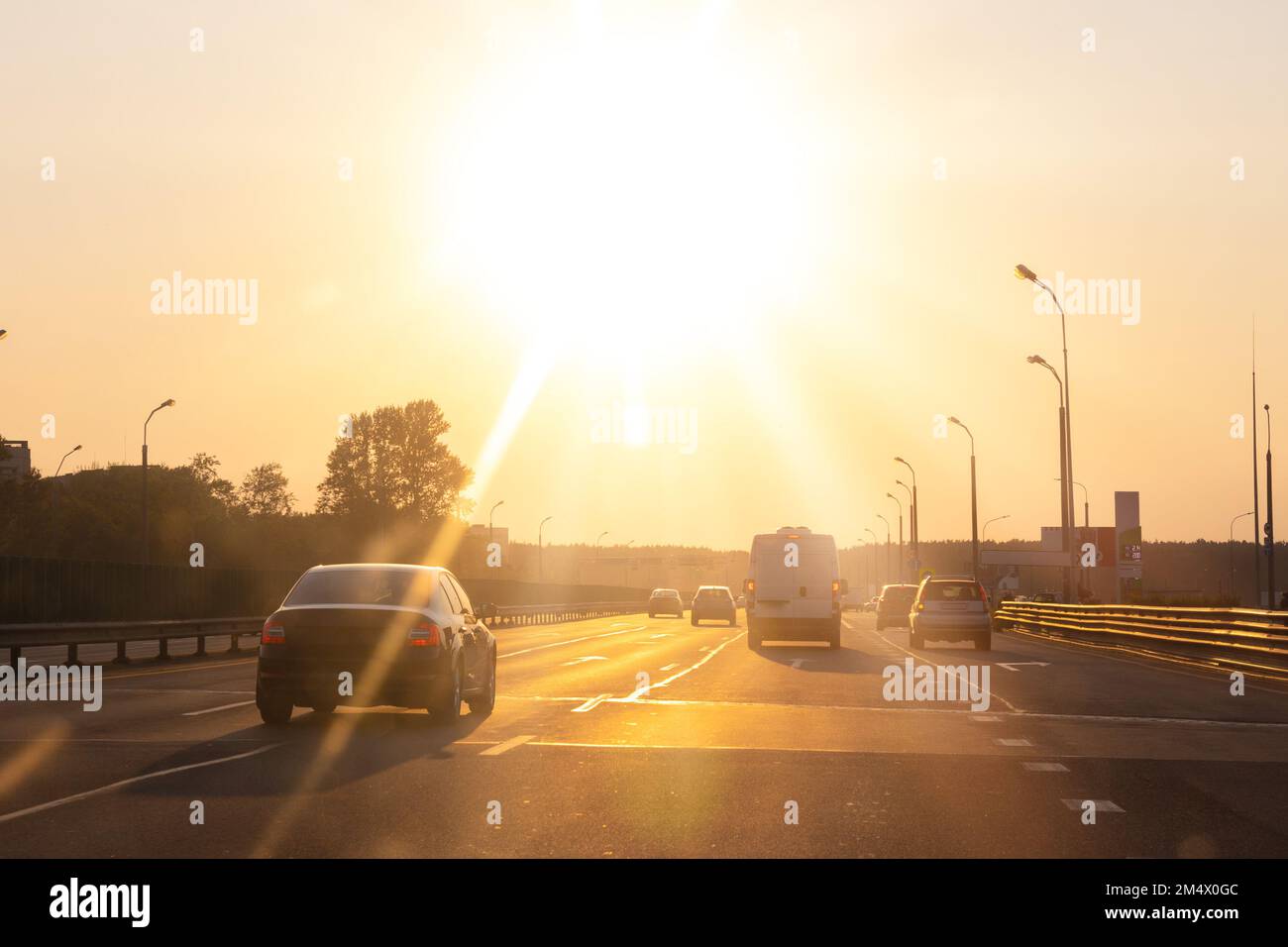 Evening view at sunset. Highway road in the countryside, roadside and ...
