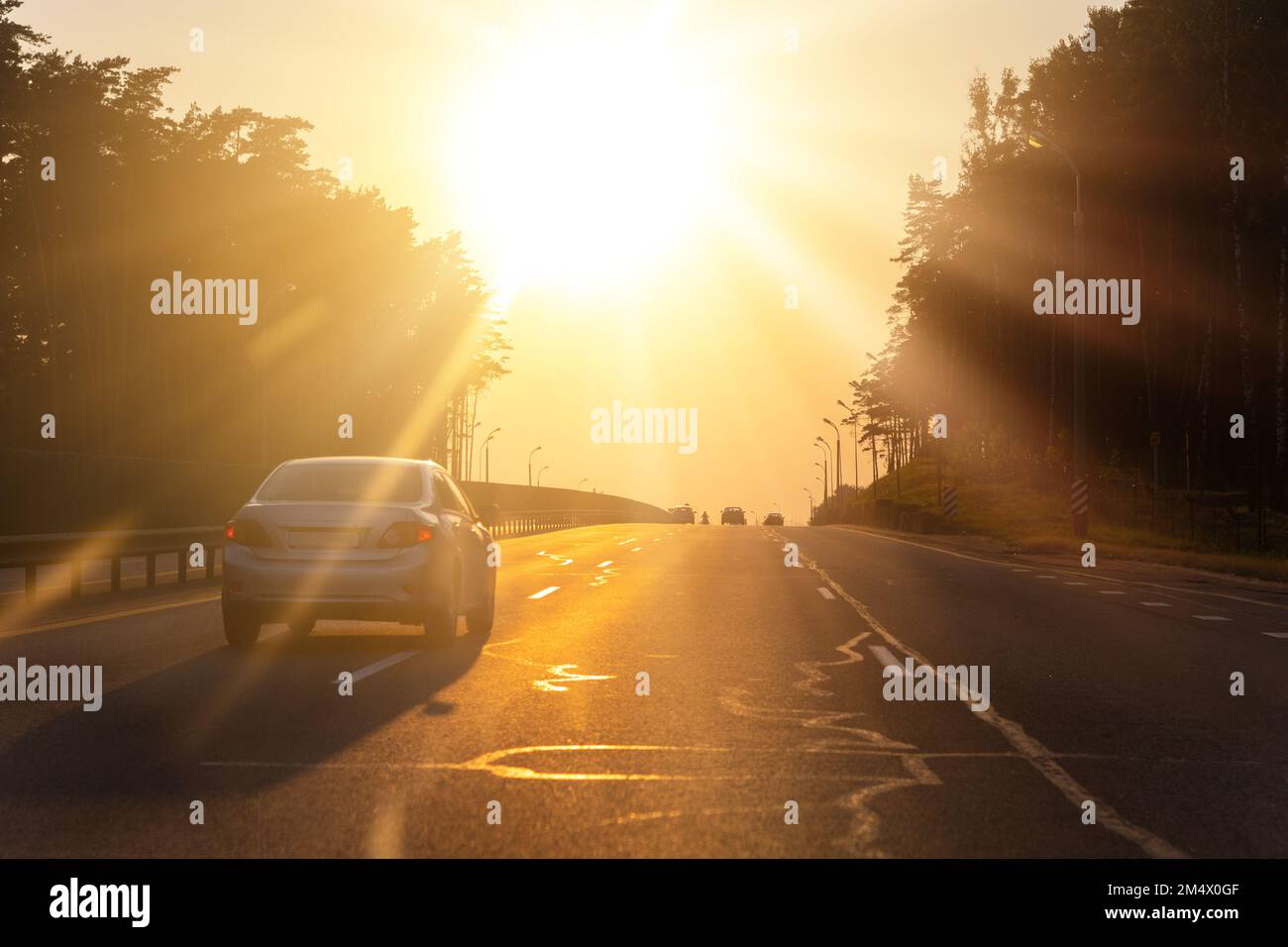 Evening view at sunset. Highway road in the countryside, roadside and ...