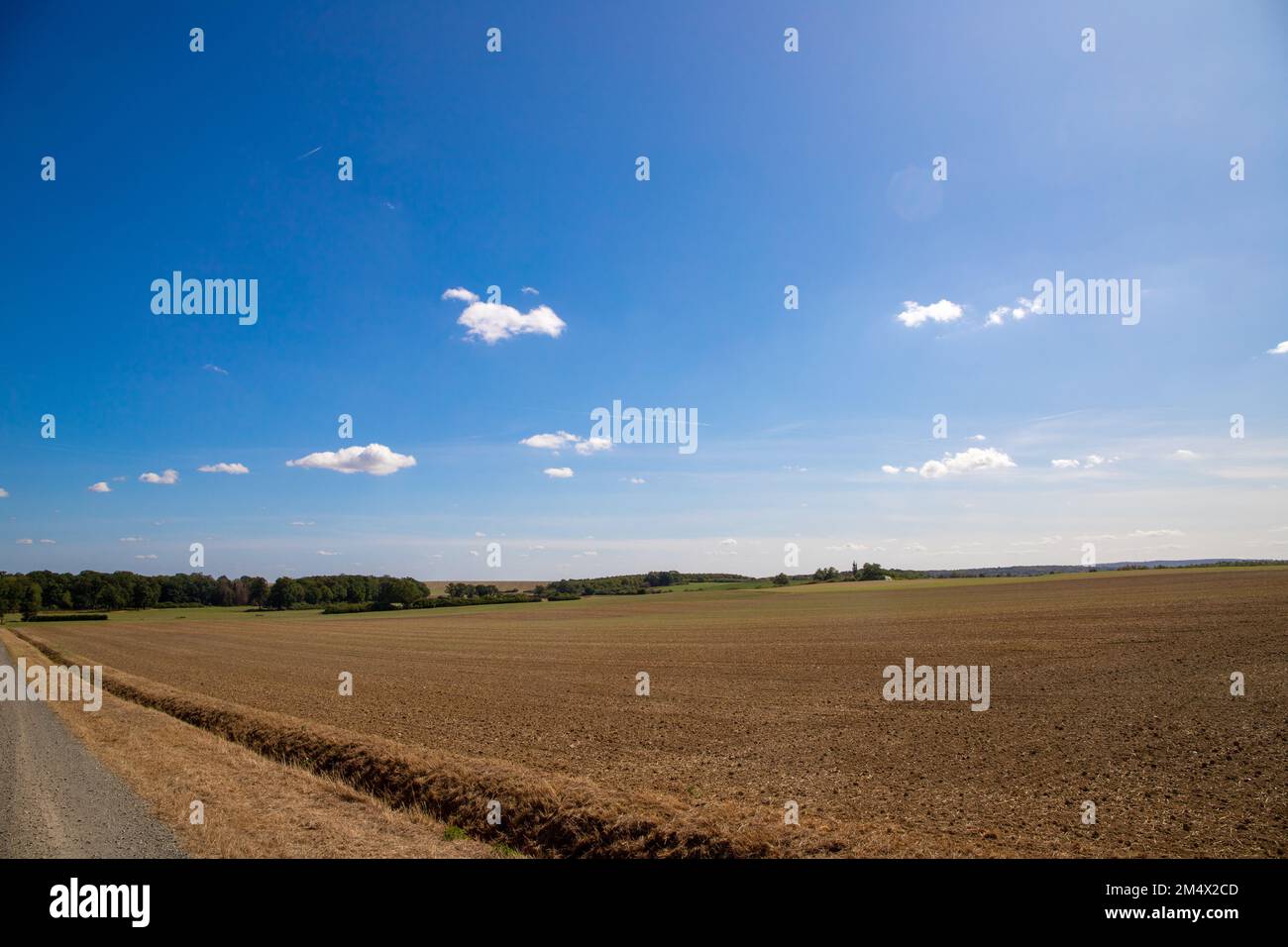 harvested field on a country road and blue sky. High quality photo ...