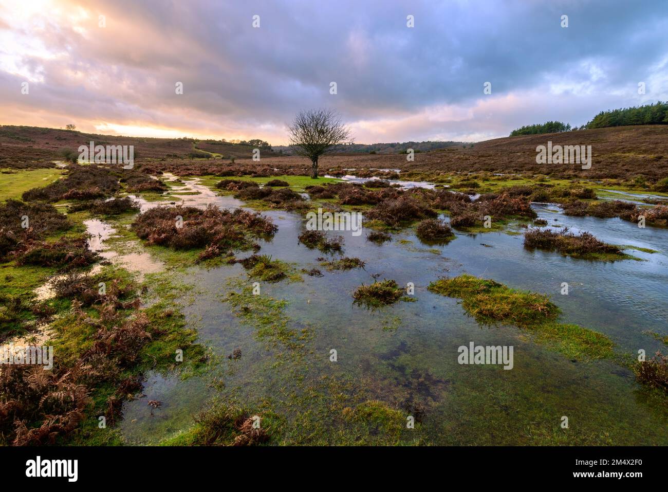 Overflowing stream leading to flooding and a wet landscape, Deadman ...