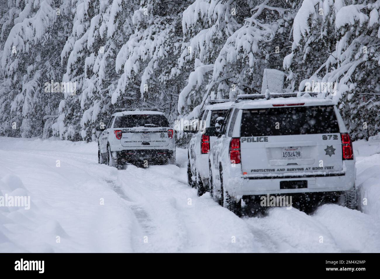 Police drive down an unpaved road in Truckee California Stock Photo - Alamy