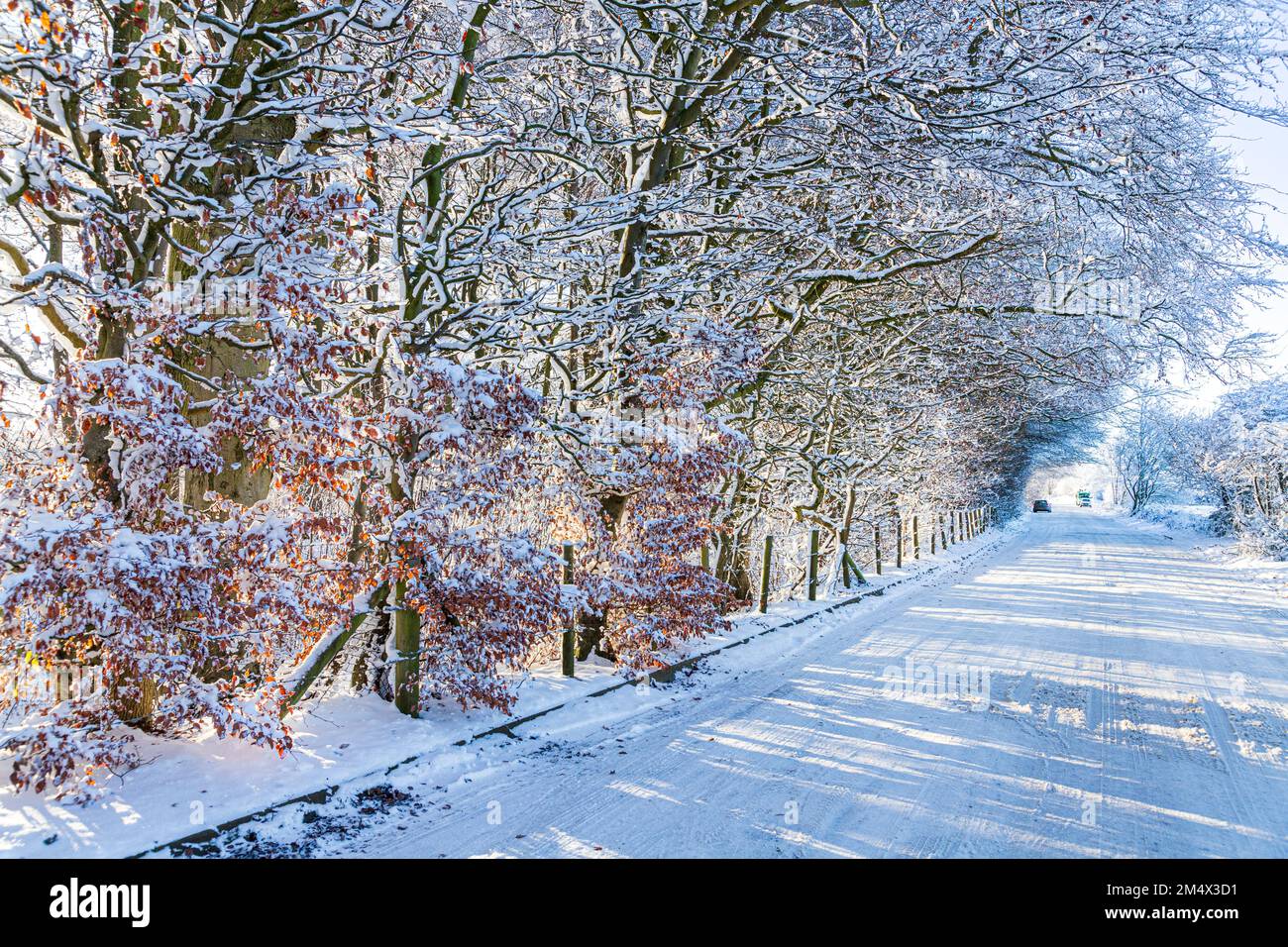 A snow covered road on the Cotswolds at Barrow Wake, Birdlip ...
