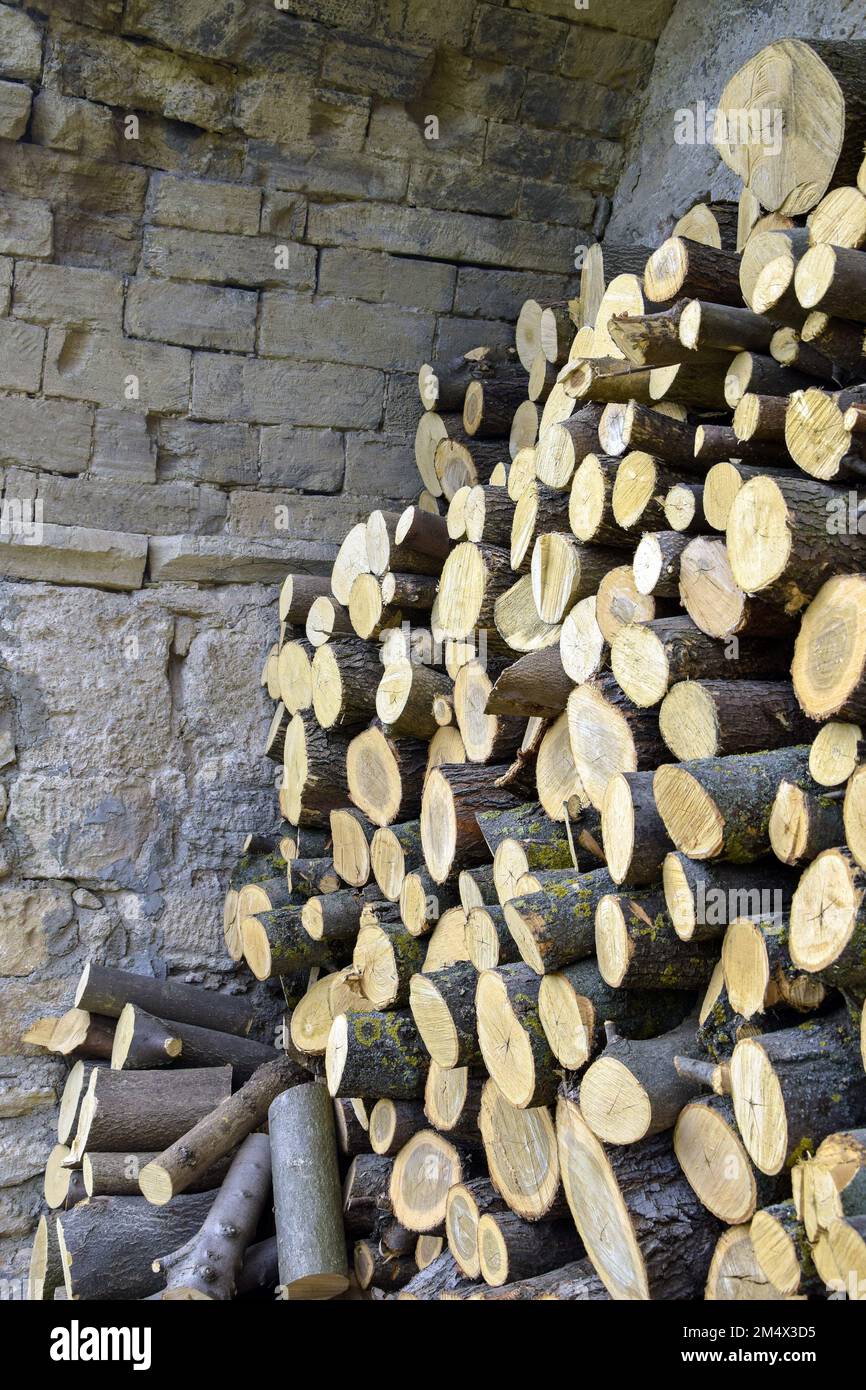 Chopped firewood is stacked in neat piles against background of natural ...