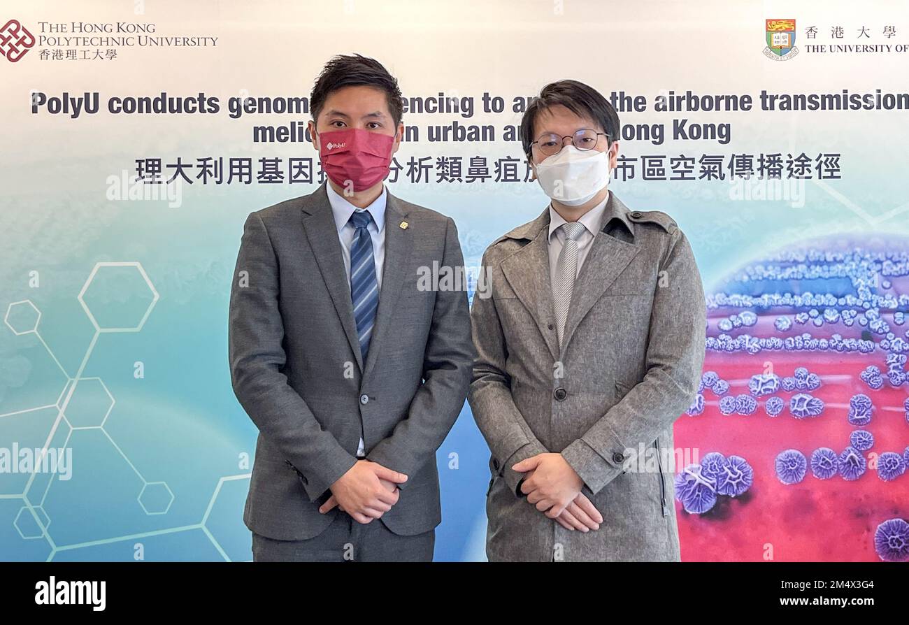 Meliodosis hi-res stock photography and images - Alamy