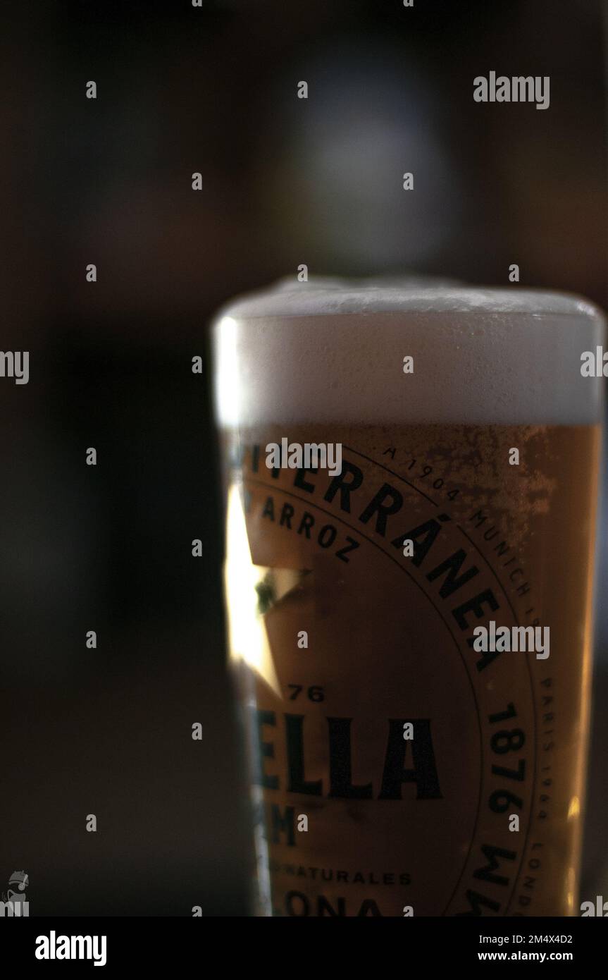 beautiful fresh pint of lager or beer that will be right any time you ...