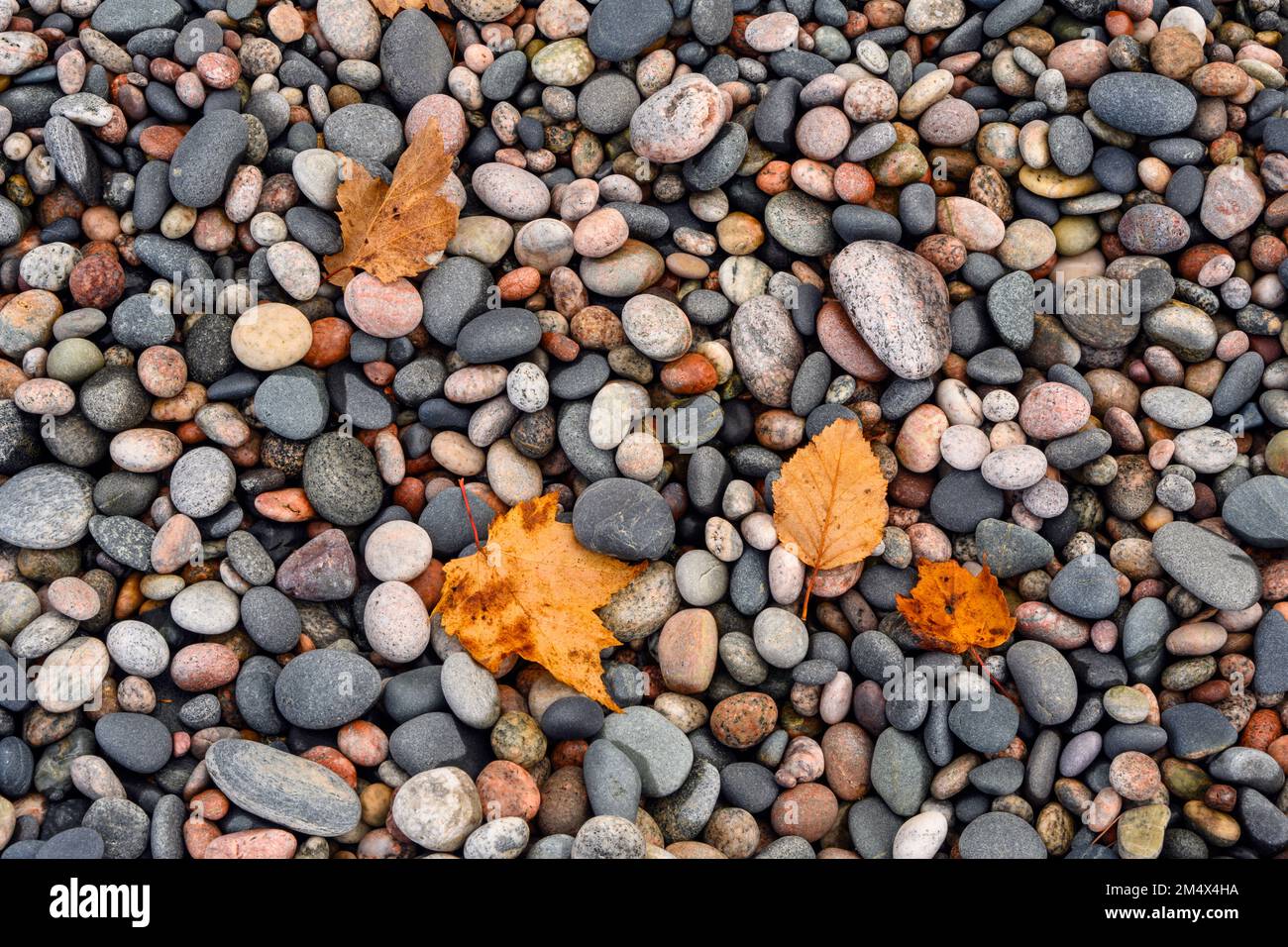 Wave polished cobblestones hi-res stock photography and images - Alamy