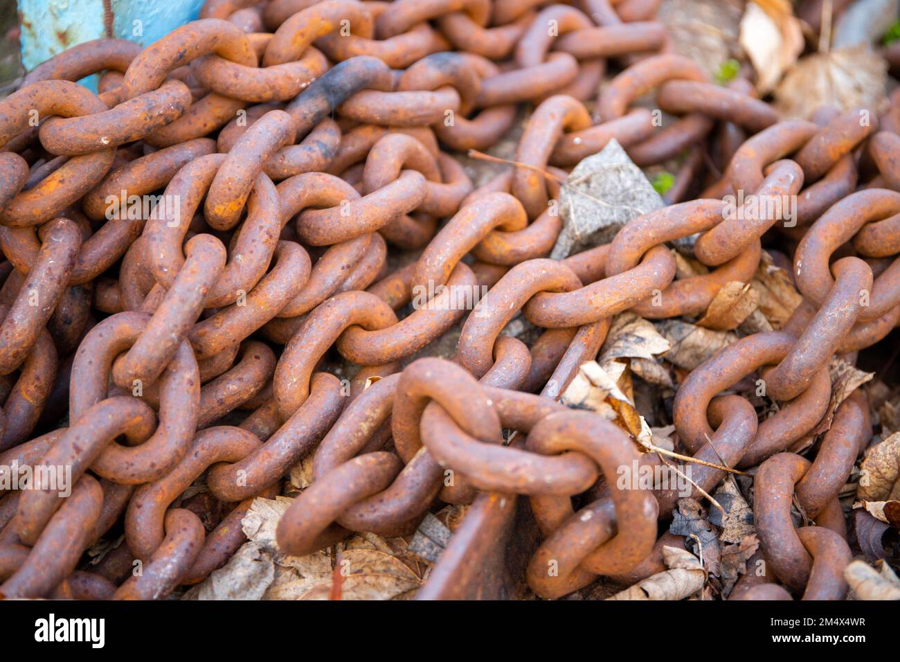 Pictorial quality hi-res stock photography and images - Alamy